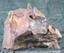PREHISTORIC STONE MULTI-TOOL, BIRDSTONE, EFFIGY, PORTABLE ROCK ART ...