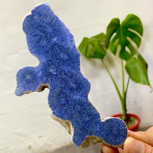84G Natural Blue Coral Reef Cluster Marine Mineral Crystal Specimen | eBay