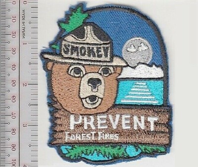 Smokey the Bear USFS Smokey Says Prevent Forest Fires Forest Service ...