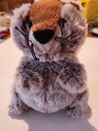 Ganz Webkinz Groundhog Plush NO CODE Stuffed Animal Puppy Toy HM179 | eBay