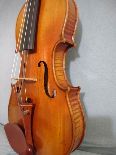 Beautiful Amber Violin. Flamed Maple Back. Excellent Condition Inc ...