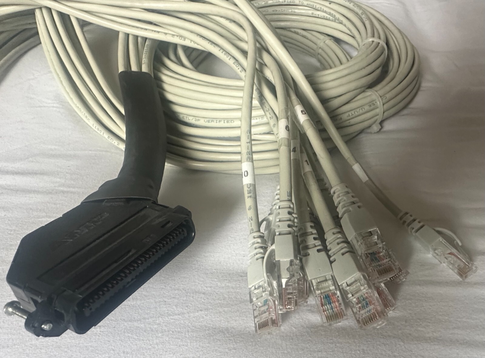 MALE RJ21 Cat3 HYDRA Amphenol Telco Breakout Cable to 12 Ports RJ45 | eBay