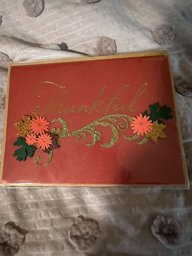 New! Papyrus Beautiful Happy Thanksgiving Card with Fall Foliage ...
