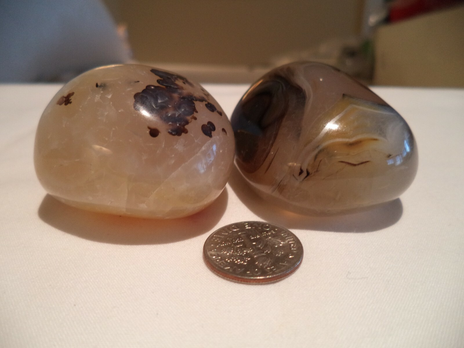 Dendritic Moss Plants Agates Polished Palm Stones Healing Lot of 2 NEW ...