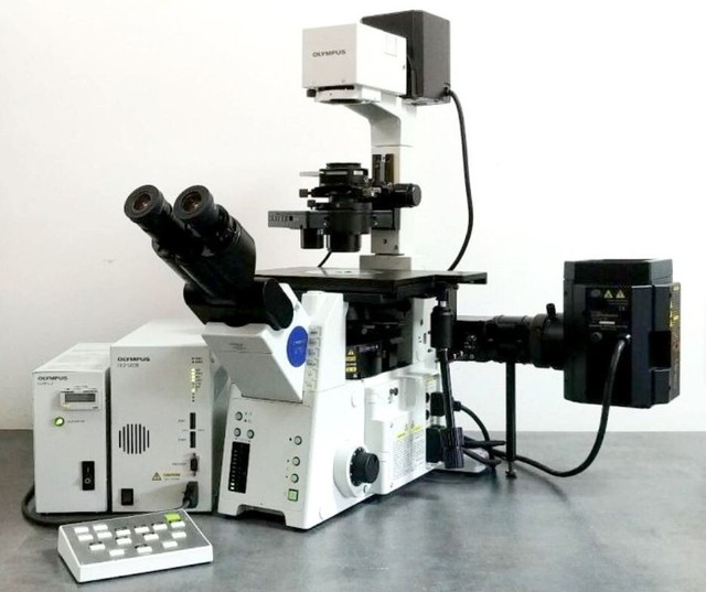 Olympus IX81 Motorized Inverted Fluorescence Microscope Unit 5 for sale ...