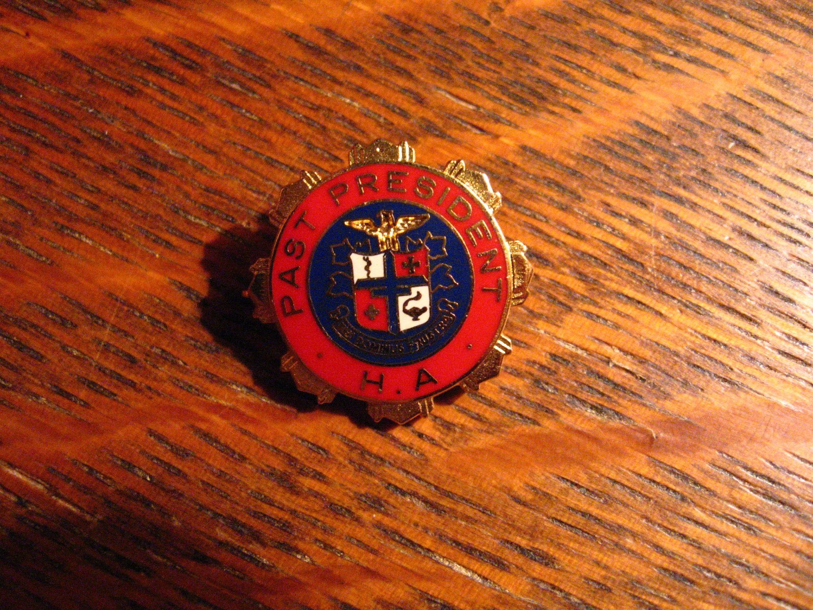 Nisi Dominus Frustra Lapel Pin - Vintage Hospital Auxiliary Past ...