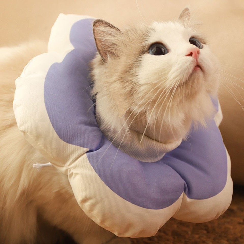 Flower Shape Dog Cat Head Cover Anti-bite Recover Cone Adjustable Neck ...