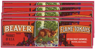 10 Beaver Brand, Victor (Lodi) California Grape Crate Labels, Wholesale ...