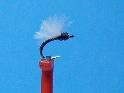 CDC Midge Emerger Fly sz 22 Black with White CDC Wing HOT PATTERN FREE ...