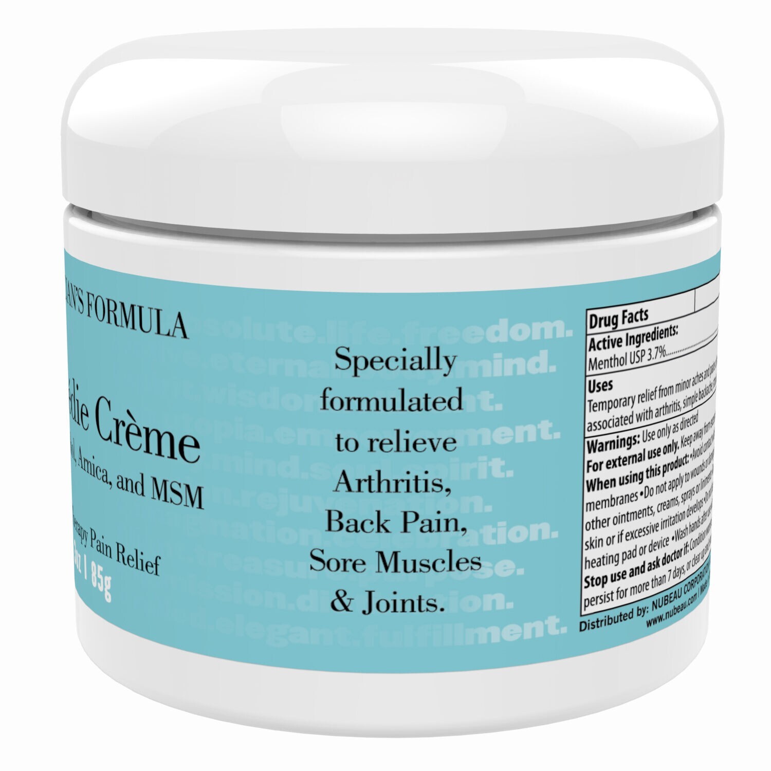 Remedie Creme Topical Menthol Arnica MSM B6 Pain Relief Anti ...