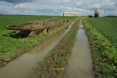 Photo 6x4 Track and bridleway near Atch Lench On the left of the track ...