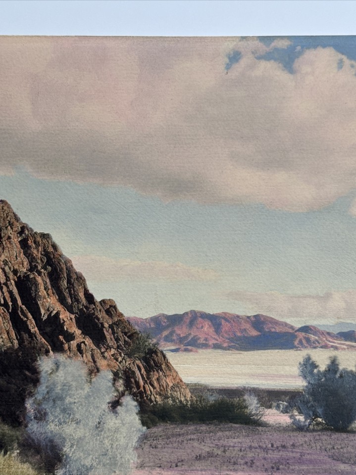 STEPHEN WILLARD PHOTOGRAPH HAND PAINTED COLORED PAINTING ON DESERT ...