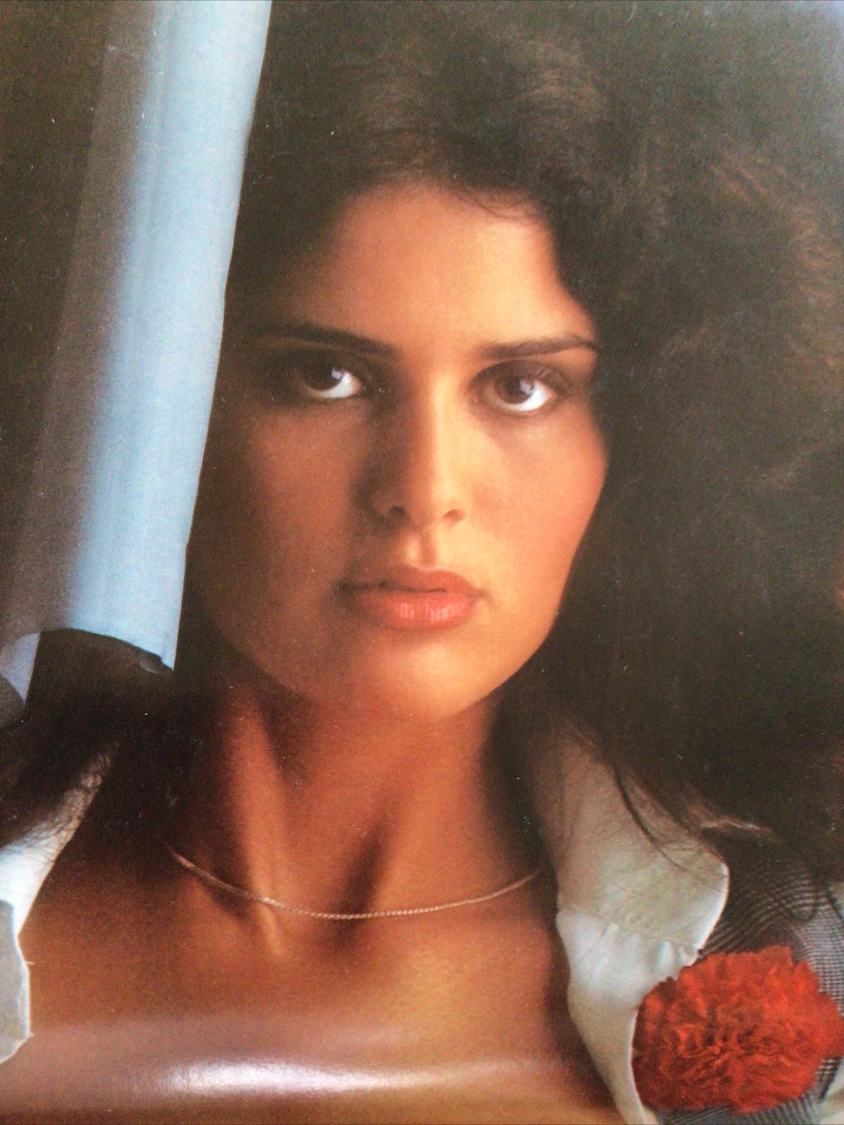 Denise Mcconnell's Instagram, Twitter & Facebook on IDCrawl