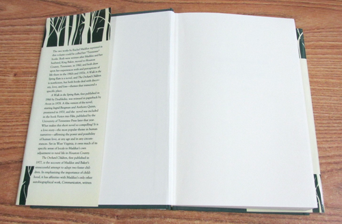 A WALK IN THE SPRING RAIN AND THE ORCHARD CHILDREN BOOK MADDUX HC DJ | eBay