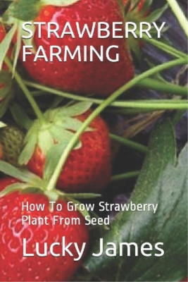 Lucky James Strawberry Farming (Poche) | eBay