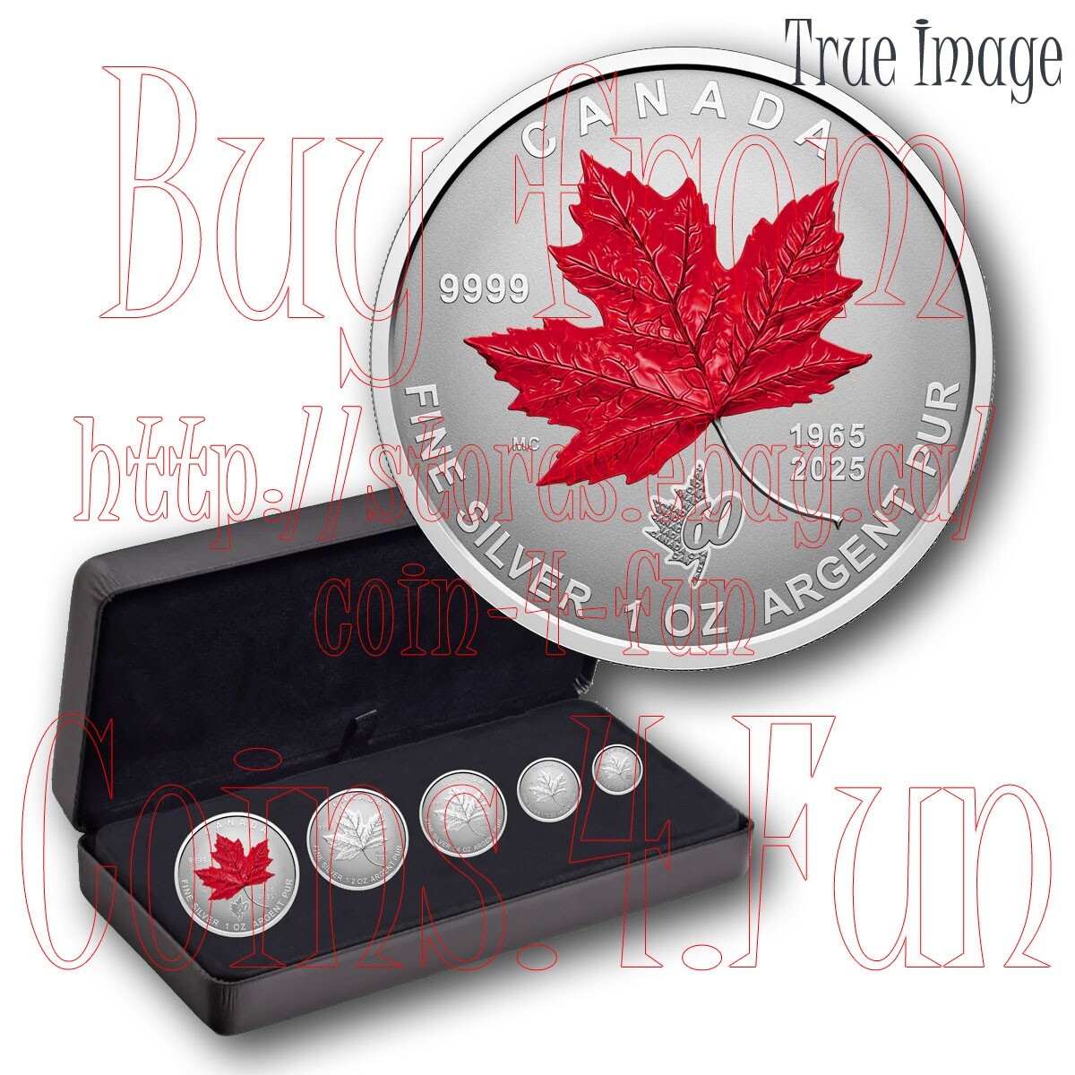 1965-2025 60th Anniversary Canada's Maple Leaf Flag 5-Coin Fractional ...