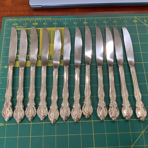 12 International Rogers Bros SOUTHERN SPLENDOR Silverplate Dinner ...