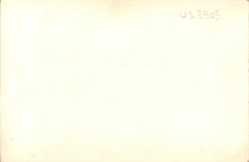 US3903 Scale Food Postcard garvens germany | eBay