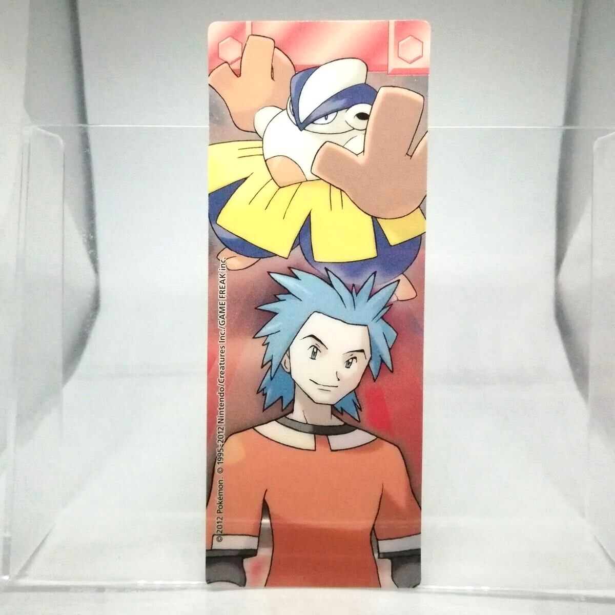 Brawly Pokemon Omega Ruby