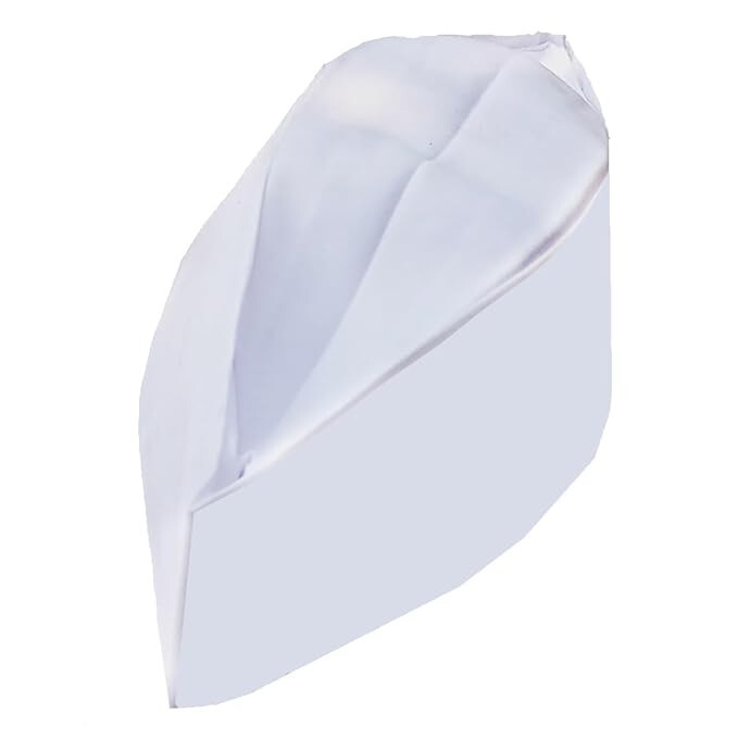 RSINC Gandhi topi ,Indian cap, Nehru cap, Jawaharlal Nehru cap, Netta ...