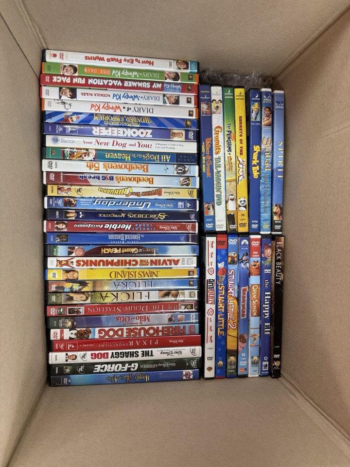 HUGE 65 DVD Lot Kids And Teen Movies | eBay