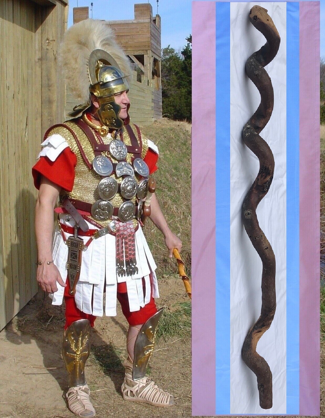 Roman legionary centurion vine staff vinewood rod switch tool of rank ...