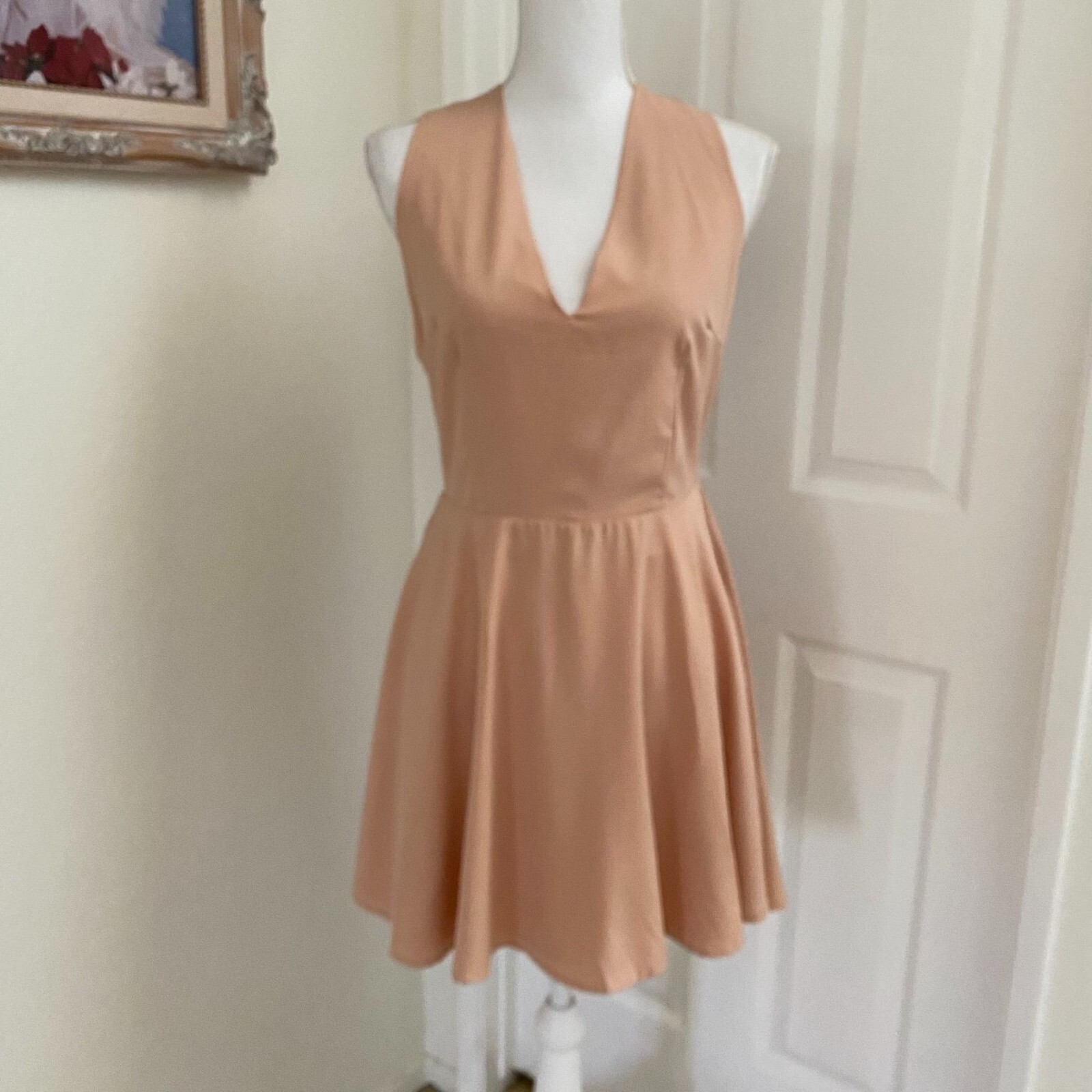 Tobi Andie Blush Pink Skater Open Back Dress Sz Large - Gem