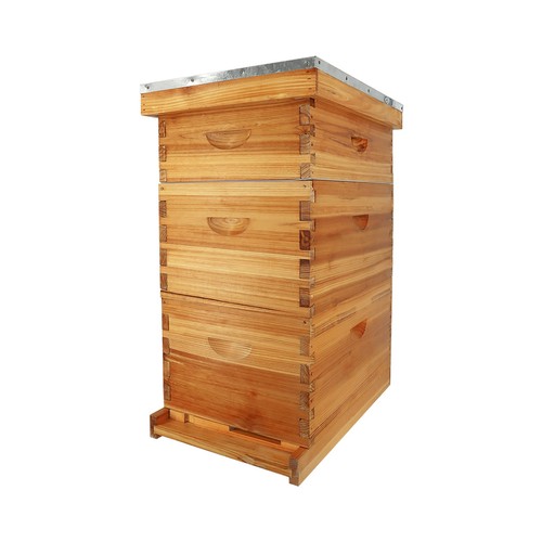 10-Frame Langstroth Bee Hive Complete Bee Hive Kit Beeswax Coated ...