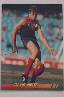 Melbourne Demons AFL-VFL Football Vintage Select In Action Card David ...
