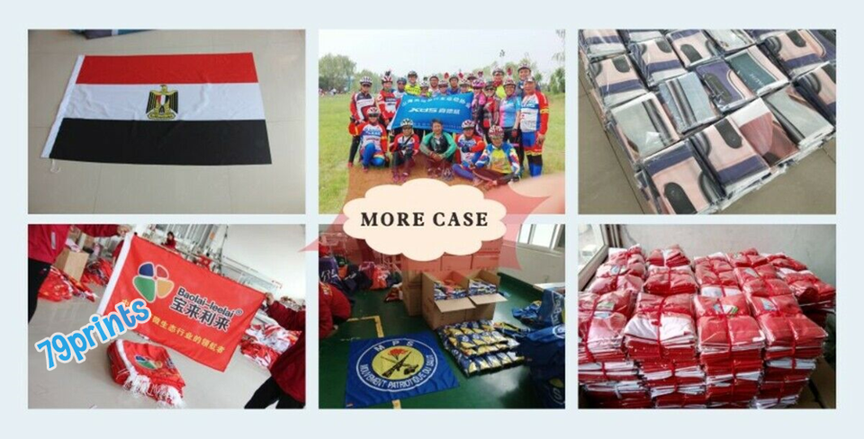 Miami Dolphins vs Carolina Panthers House Divided Flag 28X40" Banner ...