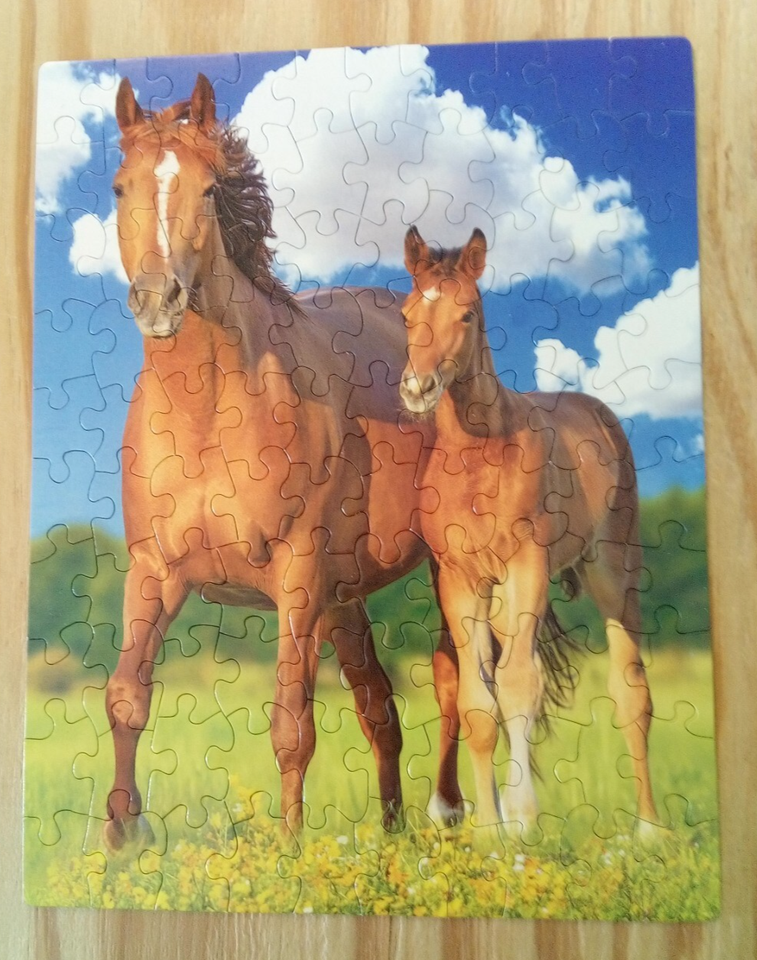 Puzzle Bug Brown Mare and Foal 100 Piece Jigsaw Puzzle Craz-Z-Art ...