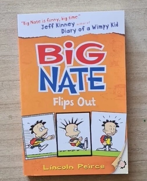 BIG NATE - 3 Paperbacks by Lincoln Peirce 9780007355174 | eBay Australia