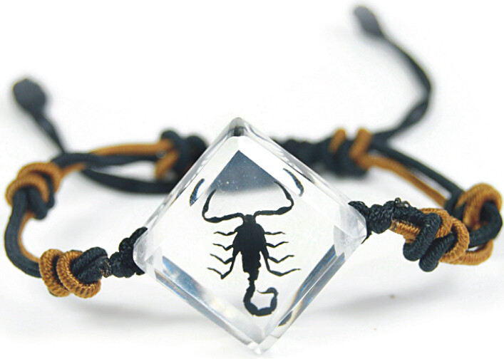 NEW! Real INSECT Black SCORPION BRACELET Diamond Cut Style Jewelry ...