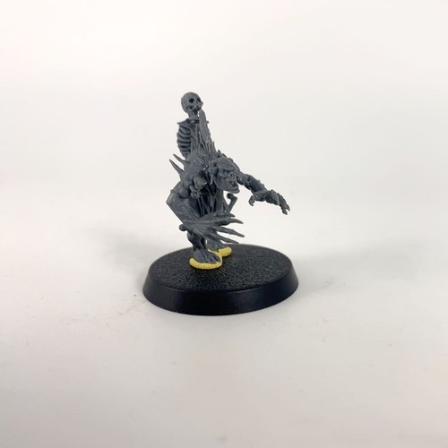 X1 Crypt Ghast Courtier Plastic Warhammer AOS | P-00IT7 | eBay