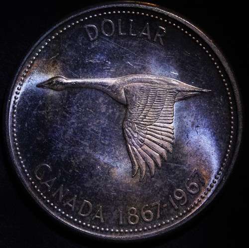 1867-1967 Canadian Goose dollar Queen Elizabeth II Canada 80% Silver ...