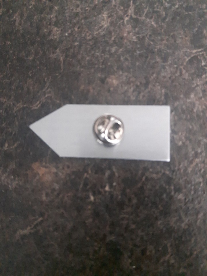 Walk To End Alzheimer's 2020 Top 30 Walk Lapel Pin FREE COMBINED ...