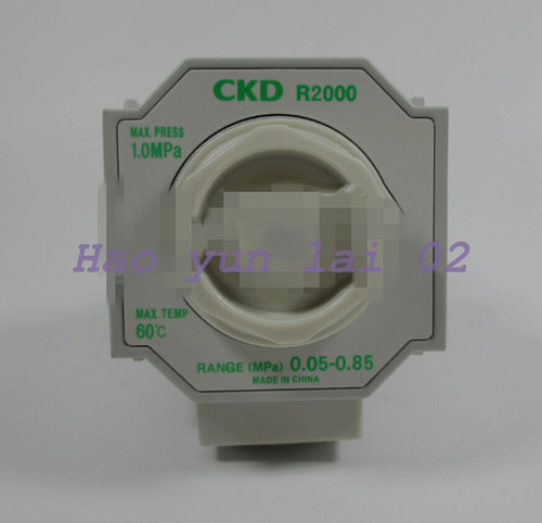 1PC For CKD Relief Valves R2000-10-W #AM 728243982500| eBay