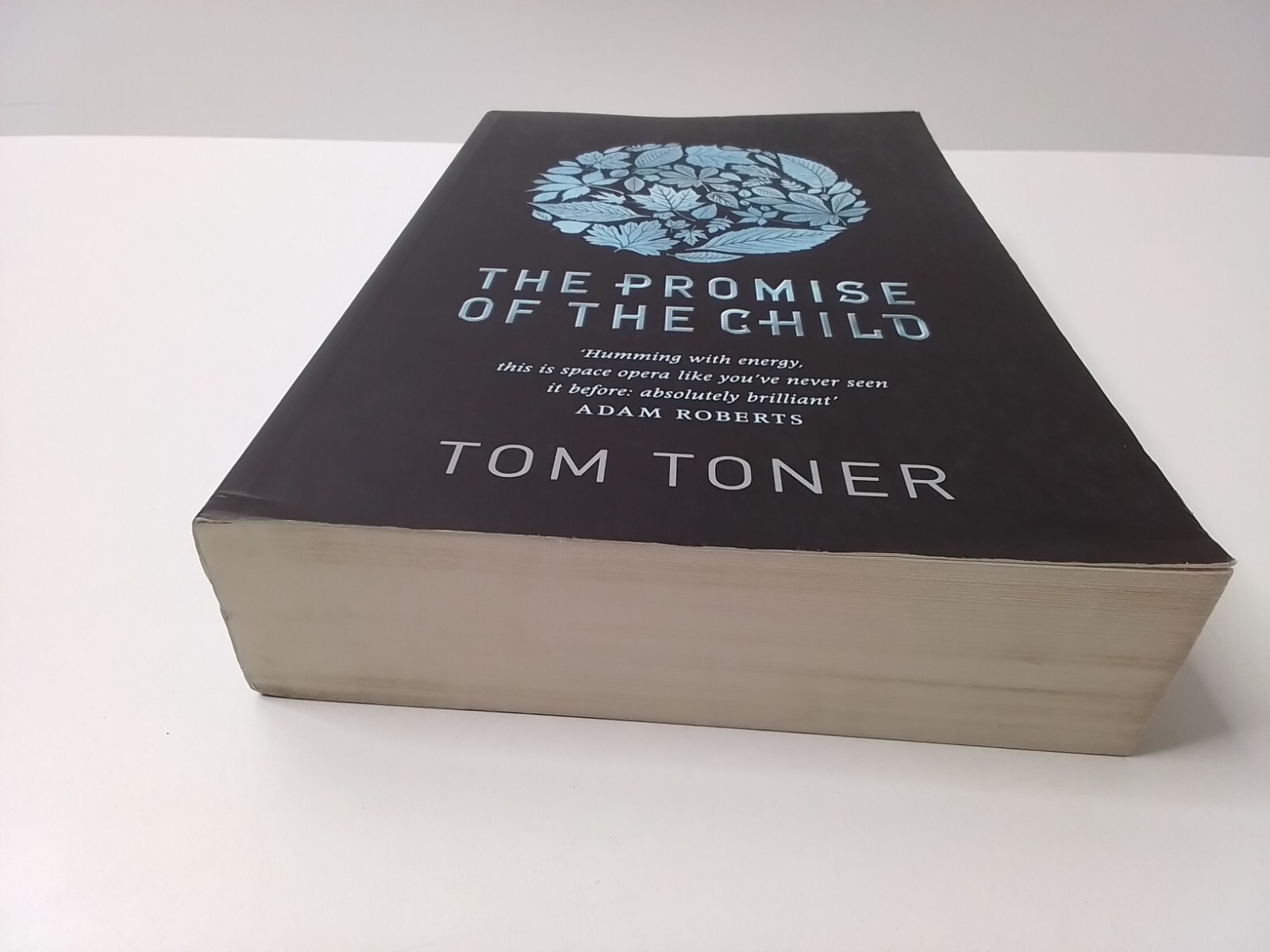 The Promise of the Child: Volume One of the Amaranthine Spectrum by Tom Toner | eBay