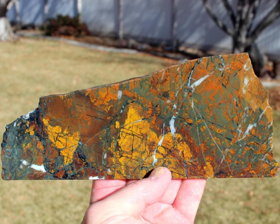 "NEW FIND" GOLD LEAF JASPER SLAB 260 grams Rock/agate/rough/mineral/cab ...