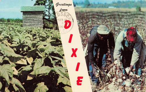 Greetings From Dixie Tobacco/Cotton, North Carolina Vintage PC Posted ...