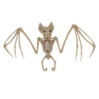 Plastic Scary Bat Skeleton Skeletal Halloween Table Decoration ...