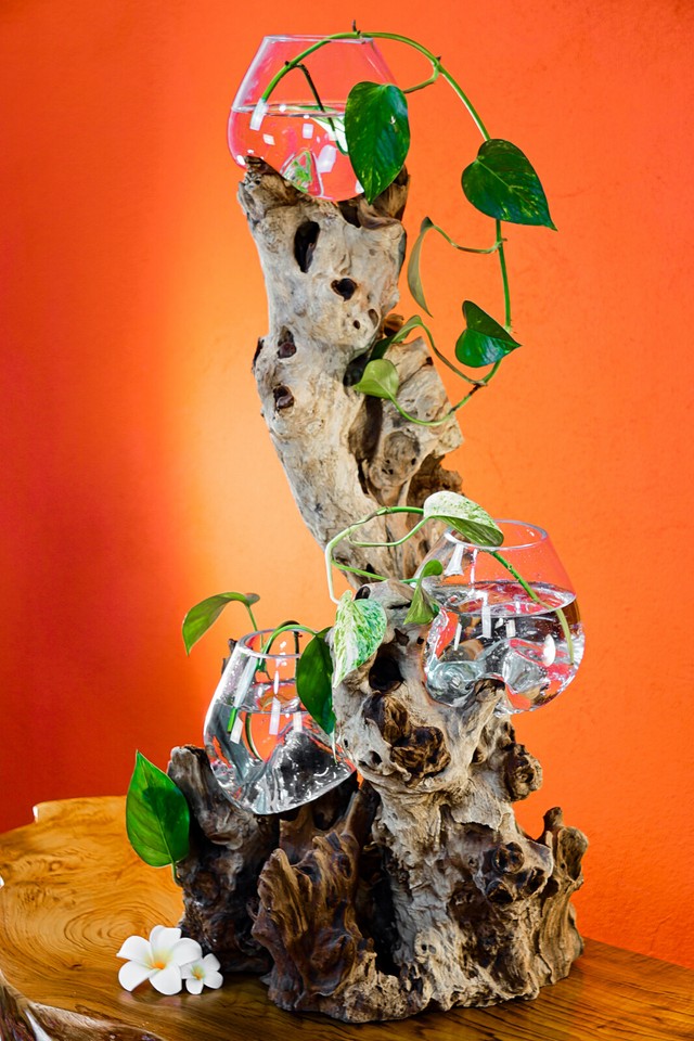 Molten Glass Root Wood Teak Bali Hand-Blown Unique Vase Handmade | eBay