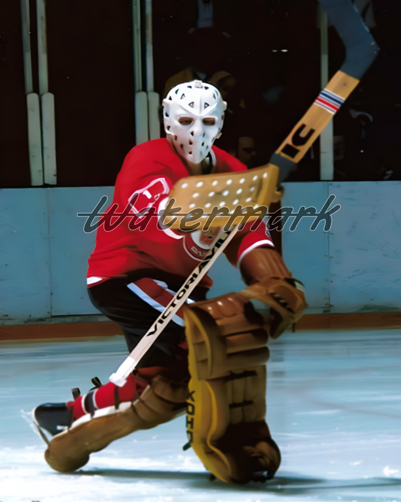 NHL 1970's Goalie Gary Edwards Cleveland Barons Game Action Color 8 X ...