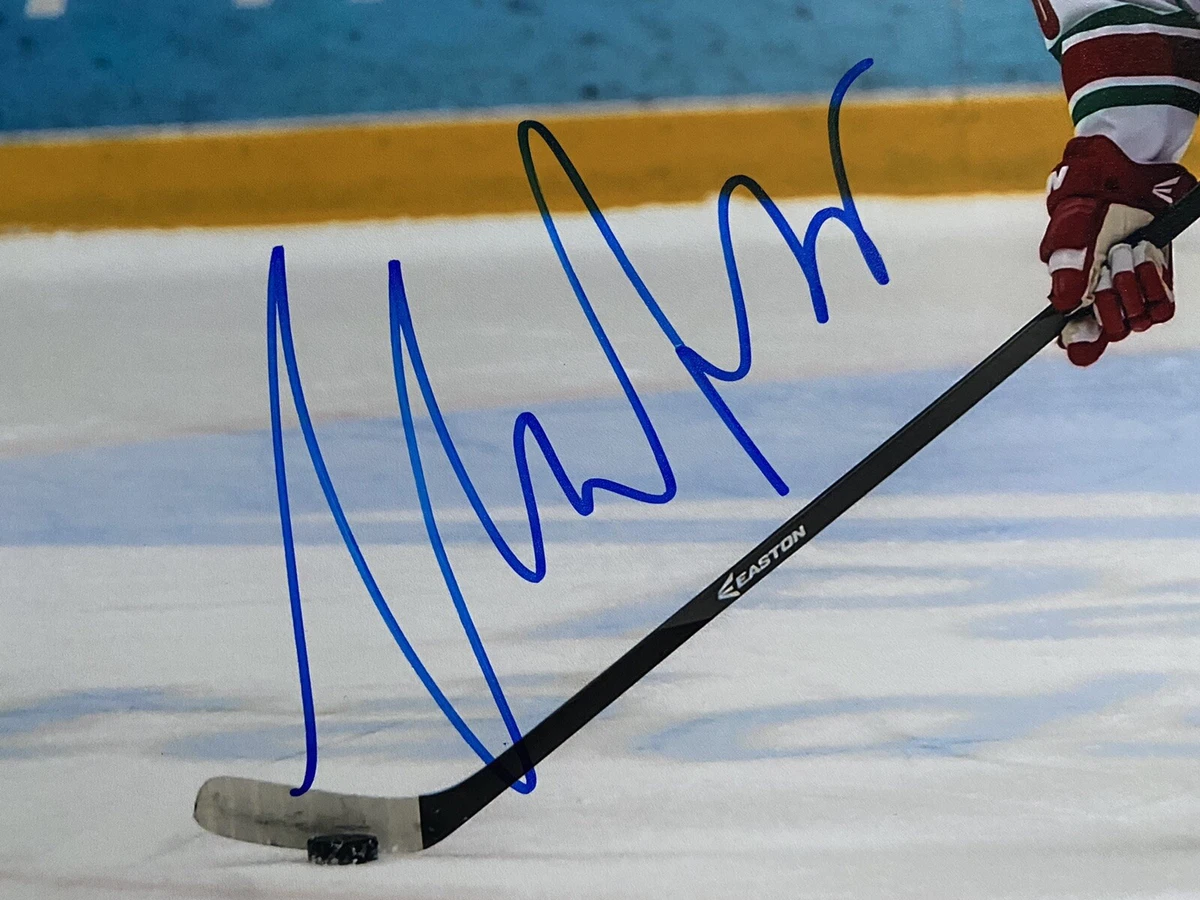 Michael Nylander Stick