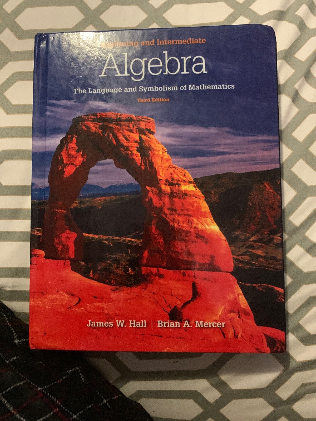 Beginning and Intermediate Algebra : The Language and Symbolism of ...