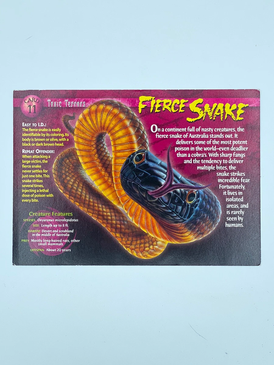 Toxic Terrors Jararaca