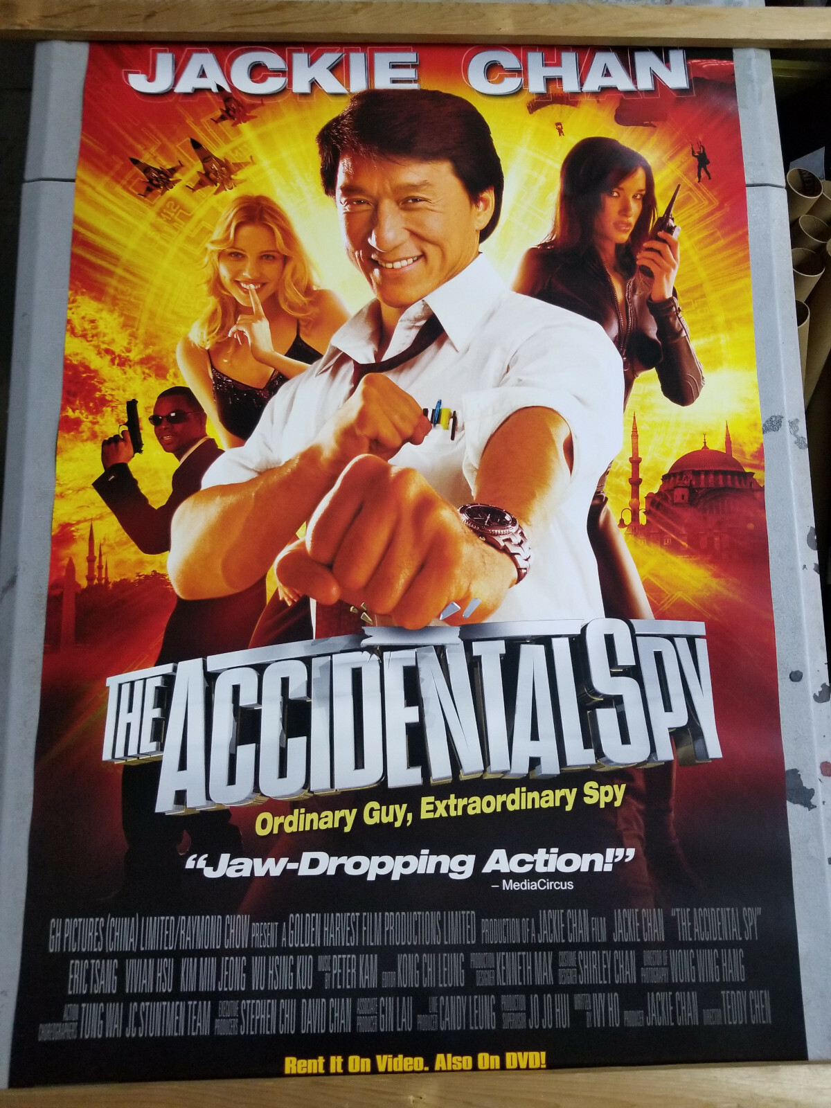The Accidental Spy