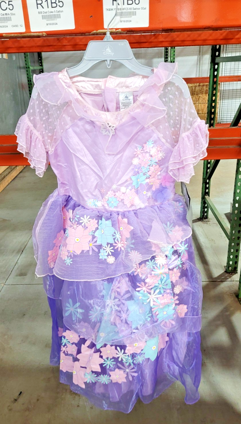 Disney Encanto Isabel Purple Flower Dress Halloween Costume Size 9-10 ...