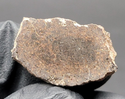 NWA 4874 (7.691g) Brachinite Meteorite, Thick Polished Slice, IMCA ...