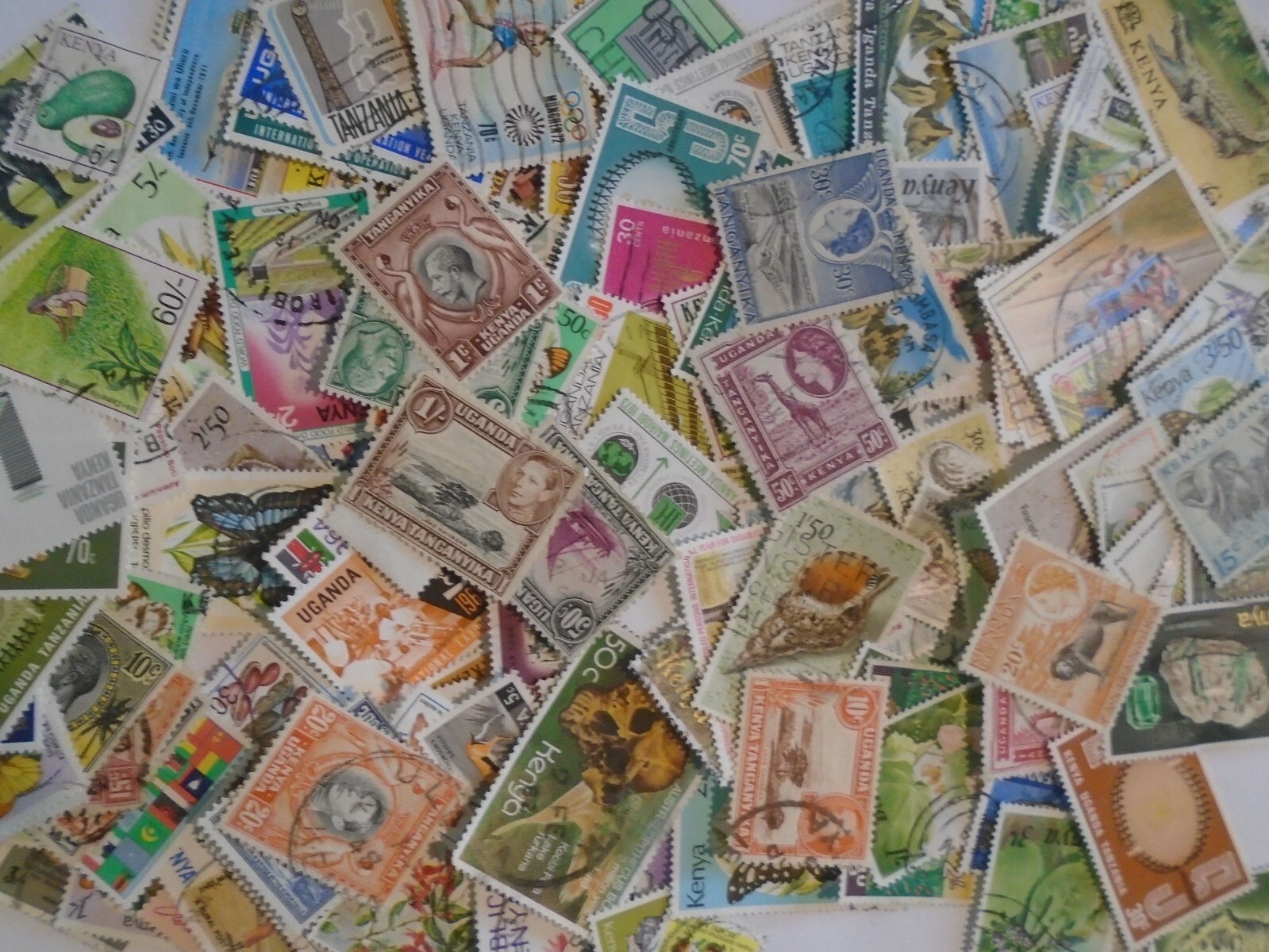 KUT 16 gram collection 7 | eBay